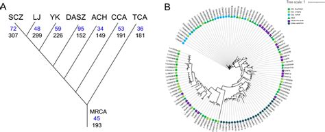 Evolution Of Terpene Synthase Tps Udp Glucosyltransferase Ugt And Download Scientific