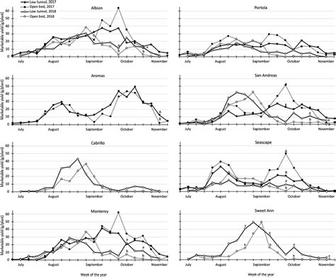 Cover Treatment Effects On Marketable Yield Of Day Neutral Strawberry