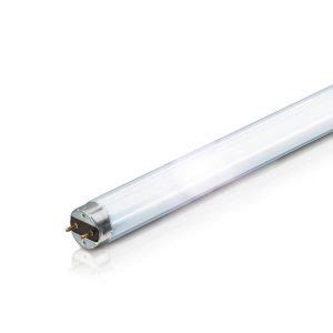 Full Spectrum Bulbs And Daylight Bulbs Whats The Difference Lyco