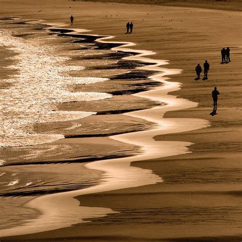 Principles Of Design Variety Examples Photography