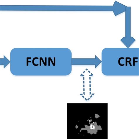 The Structure Of Our Brain Tumor Segmentation Model Download Scientific Diagram