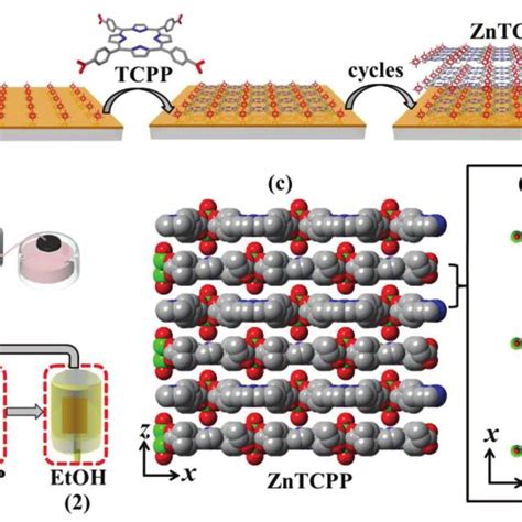 Schematic Illustration For Van Der Waals Epitaxial Growth Of Zntcpp Download Scientific Diagram