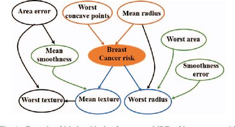 Figure 1 From Score Based Causal Feature Selection For Cancer Risk