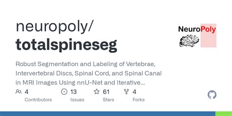 Github Neuropolytotalspineseg Robust Segmentation And Labeling Of