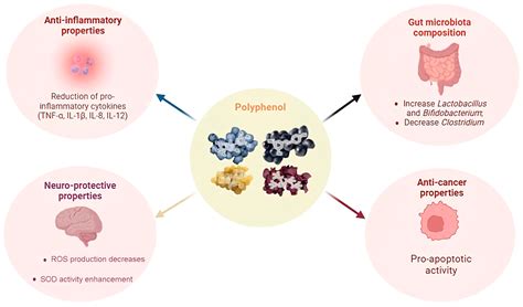 A Systematic Review Of The Effect Of Polyphenols On Alterations Of The