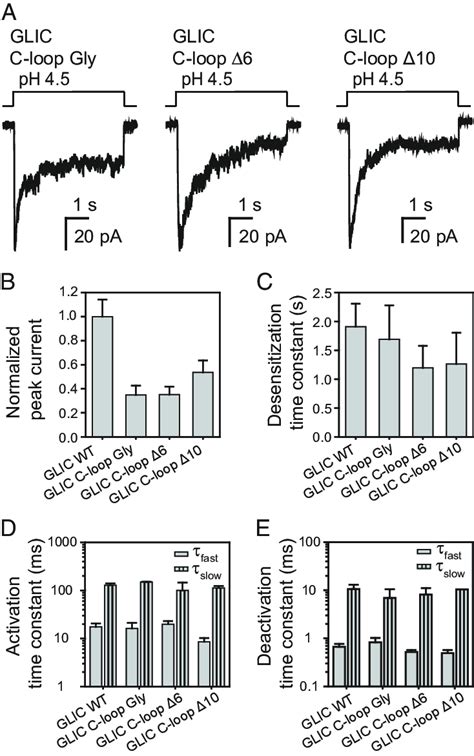 Mutations To The C Loop Have Only Mild Effects On Glic Function A Download Scientific