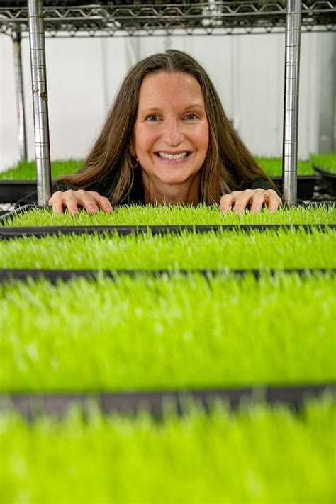 Events Fresh Wheatgrass Girl