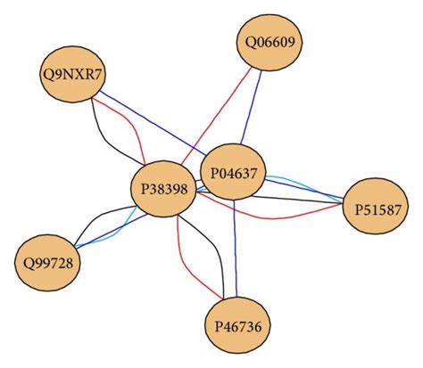 Nested Protein Complexes From Irefindex A Group Id 421 Complex