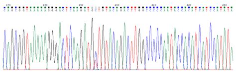 Classification Of Hepatitis Viruses From Sequencing Chromatograms Using
