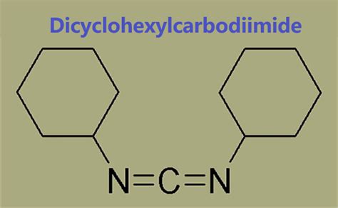 Dicyclohexylcarbodiimide Dcc Vs 4 Dimethylamino Pyridine Dmap The Difference Between The Two