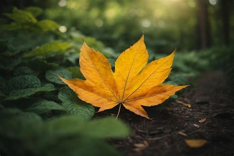 Premium Photo Summer Leaf Background
