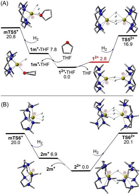 Comparison Of Dft‐computed Free Energy Profiles In Kcal Mol⁻¹ At