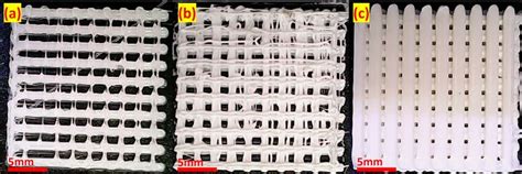 Highlights Of Polymer Made Tissue Scaffold Defects Nonuniform And Download Scientific Diagram