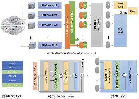 Deep Multi Instance Conv Transformer Frameworks For Landmark Based