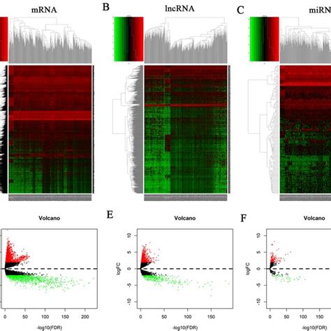 Heatmap And Volcano Plots Of Differentially Expressed RNAs A Heatmap