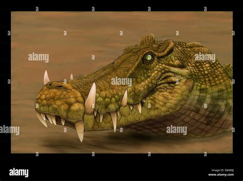 Kaprosuchus Saharicus Kaprosuchus Saharicus Boar Crocodile Sounds