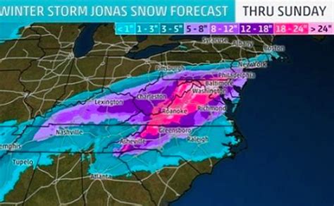 The Definitive Guide To Surviving Winter Storm Jonas In Nyc Spoiled Nyc