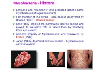 Mycobacterium Ppt Bacterial Diseases Tb Ppt