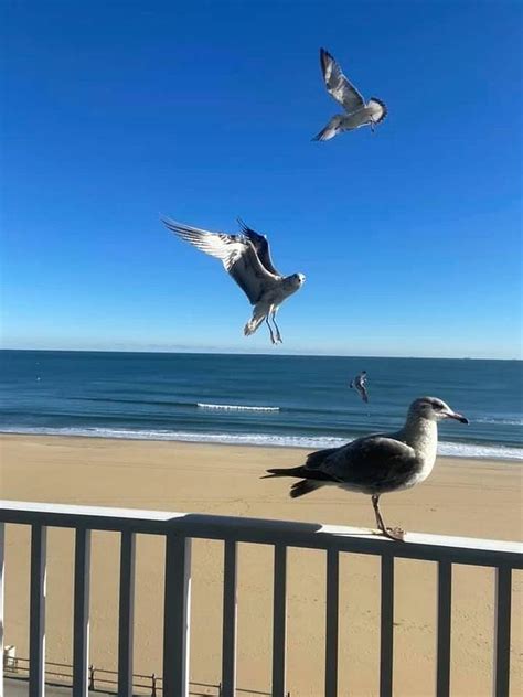 Incoming Photograph By Deanna Baldwin Fine Art America