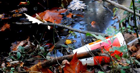 Alternatives To Single Use Plastics Greentist