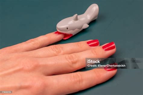 상어는 빨간 손톱으로 여자의 손을 물고 인간에 대한 상어 공격 개념에 대한 스톡 사진 및 기타 이미지 개념 건강관리와 의술 건강한 생활방식 Istock