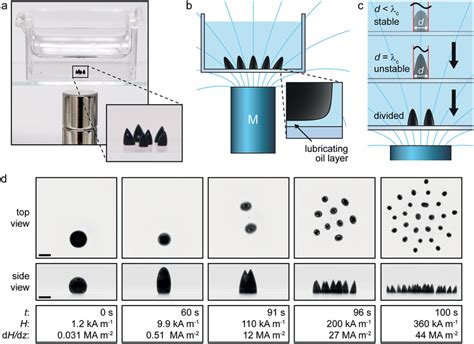 Magnetic‐field‐induced Ferrofluid Droplet Splitting In An Immiscible Download Scientific