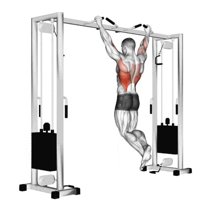 20 Best Bodyweight Exercises You Can Do Anywhere