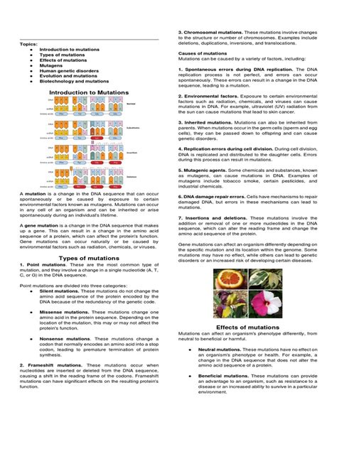Mutation Pdf Mutation Gene