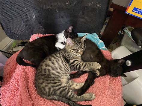 Final Update Album On Imgur