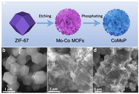 A Schematic Illustration Of The Comop Synthesis Process Bd Sem