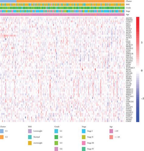 Identification Of Ferroptosis Associated Subtypes Using Nonnegative Download Scientific Diagram