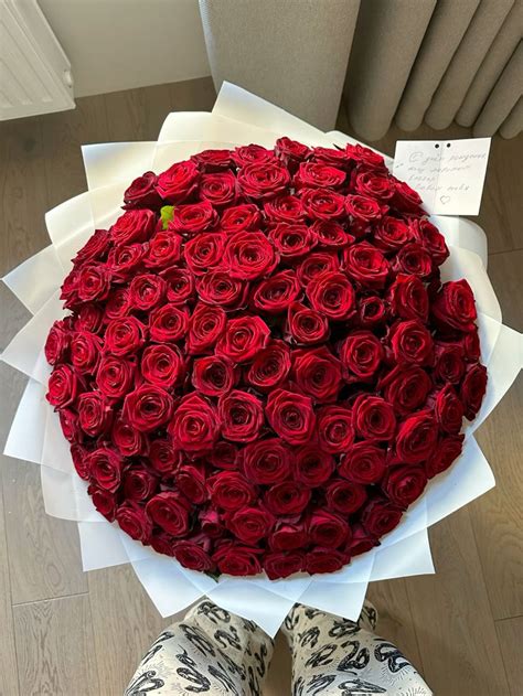 101 Роза Цветок Красная роза Фиолетовый букет