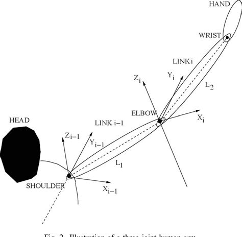 Figure 2 From Applications Of Wearable Inertial Sensors In Estimation