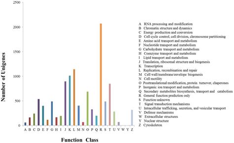 Histogram Presenting Clusters Of Orthologous Groups Cog Download