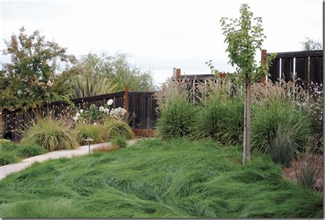 Wallpaper G Landscaping Ideas To Replace Grass Landscaping Ideas