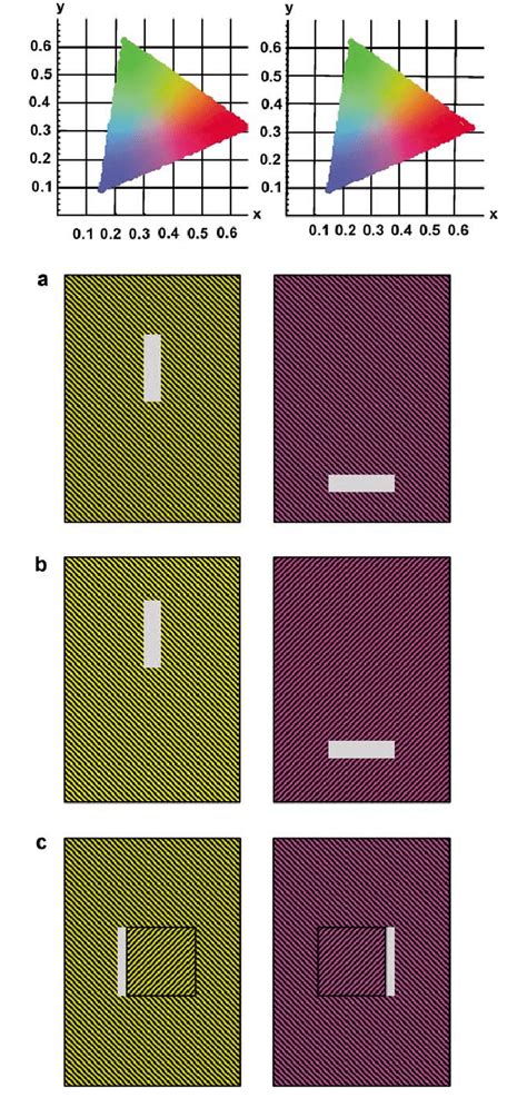 Stimuli Used In The Binocular Colour Matching Experiment In Each Download Scientific Diagram
