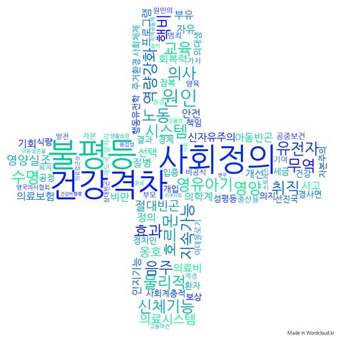 건강격차 사회정의 불평등 워드클라우드 워드클라우드 생성기