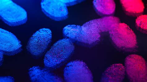 Experiment Are Fingerprint Patterns Inherited