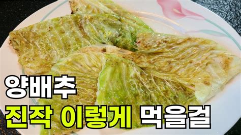 양배추 이렇게 먹었더니 살도 안찌고 정말 맛있어요 저속노화 레시피 Youtube