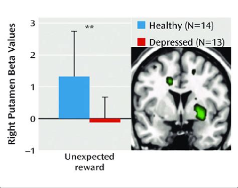 An Example Of Reward Circuit Dysfunction In Major Depressive Disorder Download Scientific