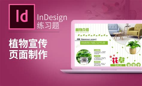 Id 植物宣传页制作 软件入门教程 Id（cc2017） 虎课网