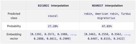Making Machine Learning More Accessible For Developers Zilliz Learn