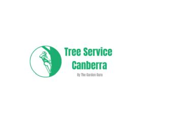 Best Tree Services In Canberra ACT ThreeBestRated