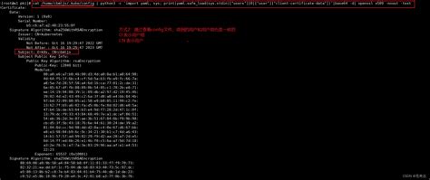 Kubernetes认证授权查看一个用户具有哪些权限rbac实践类查看 Clusterrole 权限 Csdn博客
