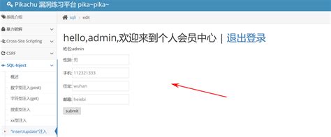 sql注入 pikachu靶场通关 sql注入靶场 csdn博客