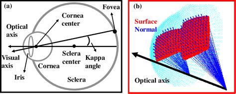 Accurate Eye Tracking From Dense 3d Surface Reconstructions Using Single Shot Deflectometry