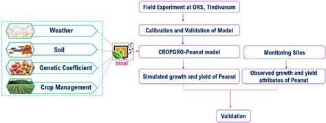Integrating Sar Sentinel 1a And Dssat Cropgro Simulation Model For Peanut Yield Gap Analysis
