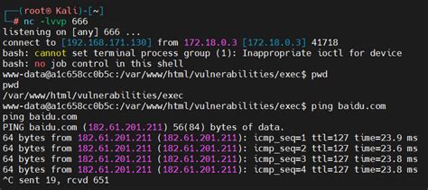 网安系列【5】之命令注入command Injection攻击详解：从入门到实战 Csdn博客