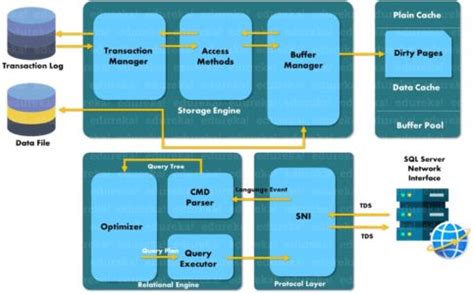 SQL Server Tutorial | MS SQL Server Tutorial For Beginners | Edureka