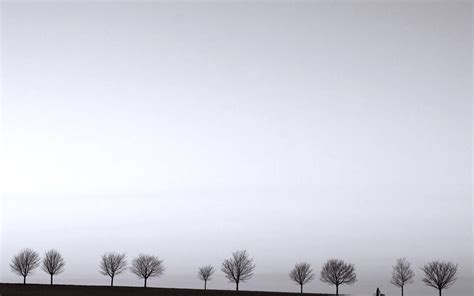 White Nature Wallpapers Top Free White Nature Backgrounds